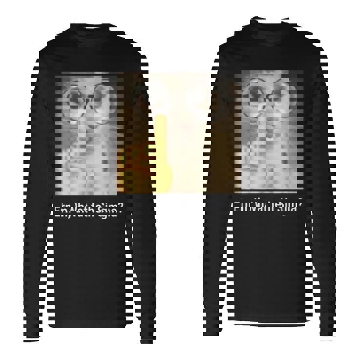 Erm What The Sigma Cat Meme T-Shirt | Mazezy