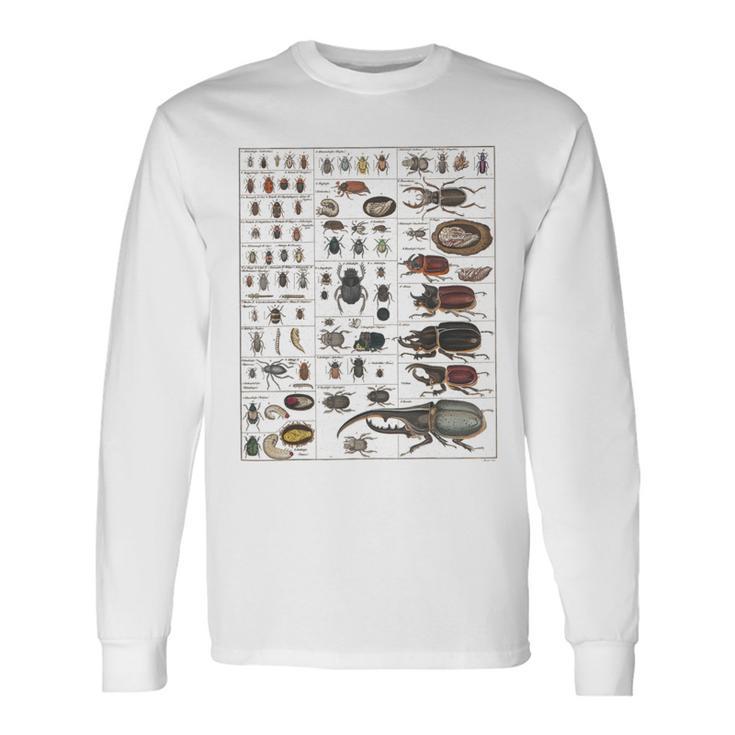 Colección Insectos Especies Bichos Gráfico Entomología Camiseta de ...