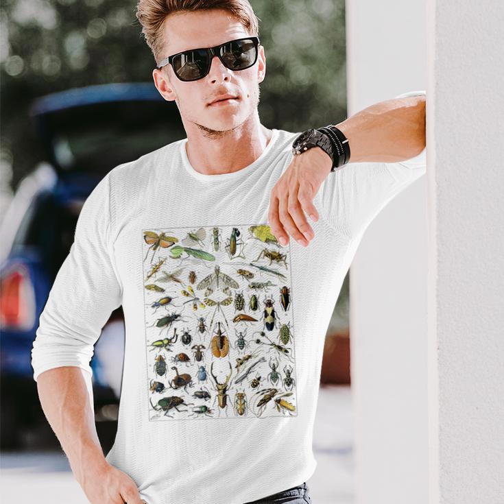 Insectos Insecto Bug Entomología Imprimir Regalo Bug Print Camiseta de ...