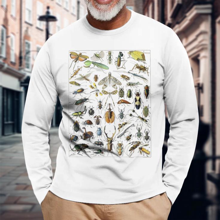 Insectos Insecto Bug Entomología Imprimir Regalo Bug Print Camiseta de ...