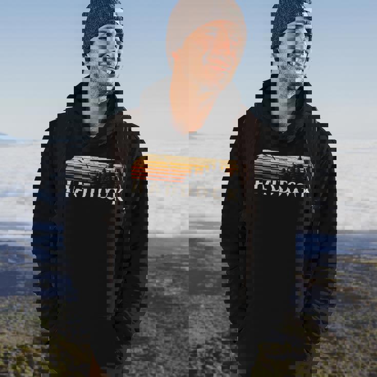 Haddock Ga Vintage Evergreen Sunset Eighties Retro Hoodie | Mazezy