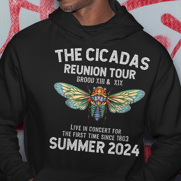 Cicadas Reunion Tour Summer 2024 Cicada Brood Xiii Xix Hoodie | Mazezy