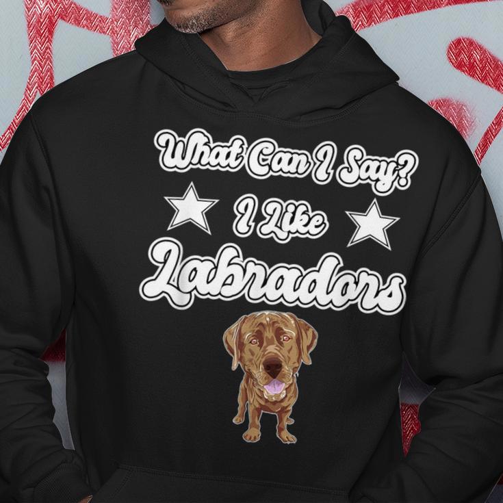 What Can I Say I Like Labradors Chocolate Lab Labrador Hoodie - Monsterry
