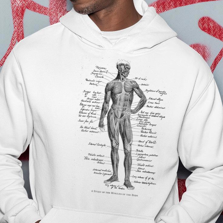 Human Muscle Anatomy Idea Hoodie - Monsterry