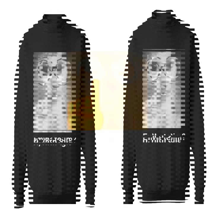 Erm What The Sigma Cat Meme Sweatshirt | Mazezy