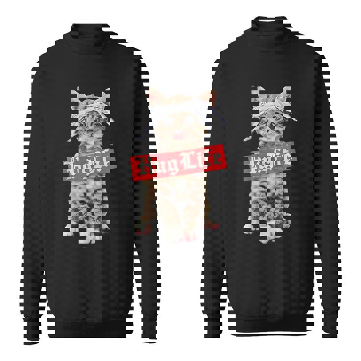 Hug Life Kitty Cat Hug Kitten Sweatshirt | Mazezy