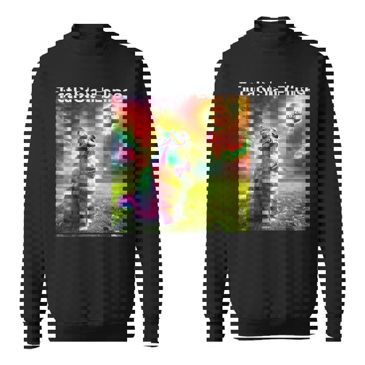 Solar Eclipse Cat Wearing Solar Eclipse Glasses 2024 Sweatshirt ...