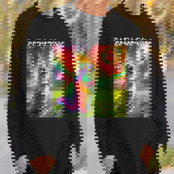 Solar Eclipse Cat Wearing Solar Eclipse Glasses 2024 Sweatshirt ...