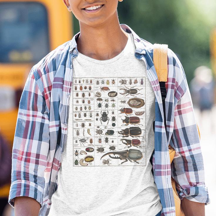 Colección Insectos Especies Bichos Gráfico Entomología Camiseta niño ...