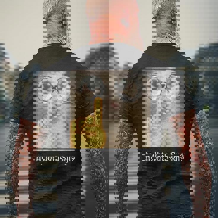 Erm What The Sigma Cat Meme Men's T-shirt Back Print | Mazezy