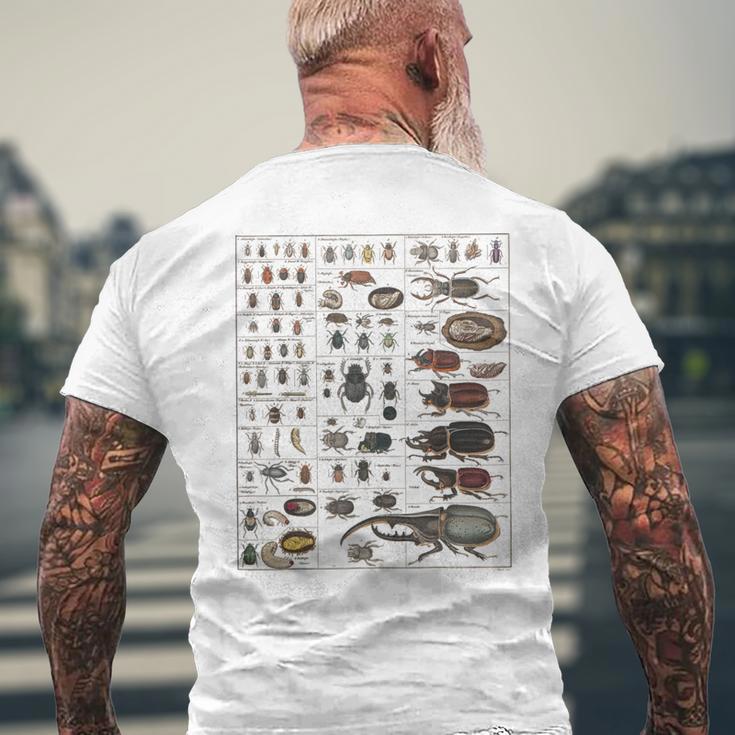 Colección Insectos Especies Bichos Gráfico Entomología Camiseta Hombre ...