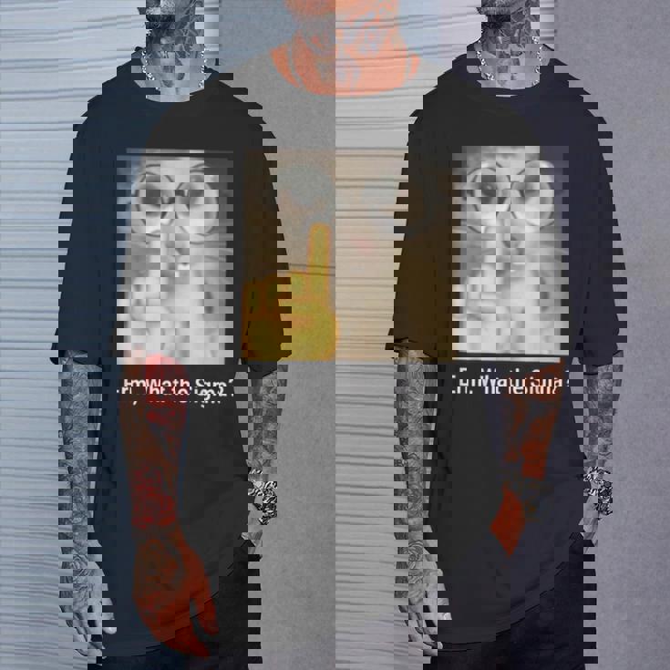 Erm What The Sigma Cat Meme T-Shirt | Mazezy