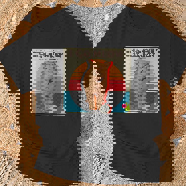 I Go Meow Singing Cat Meme T-Shirt | Mazezy