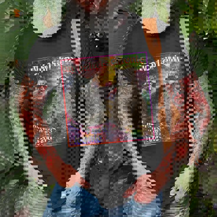 My Pain Is Chronic But My Ass Is Iconic Meme Raccoon T-Shirt - Monsterry AU